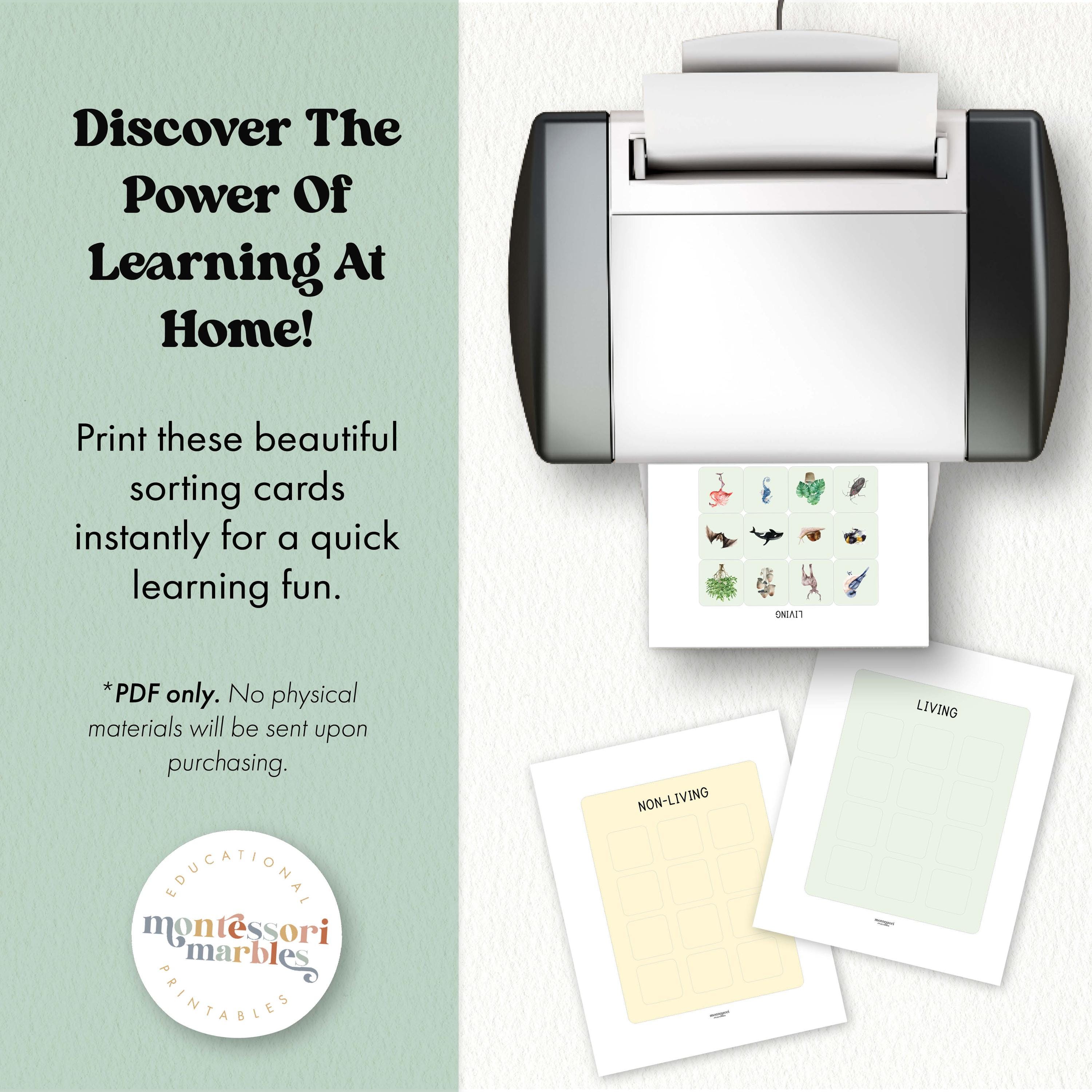 Living & Non-living Sorting Cards | Montessori Science Concept Learning ...