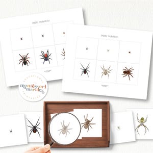 SPIDERS Magnifying Matching Game | Montessori at Home Using Magnifying ...