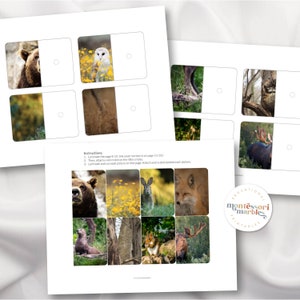 WOODLAND ANIMALS Montessori Picture Matching Activity, Toddlers ...