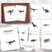 DINOSAURS Flash Cards 18 Flashcards Montessori Inspired Homeschool ...