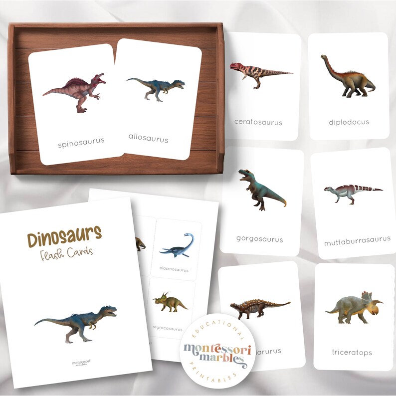 Dinosaurs Flash Cards | Montessori Paleontology Vocabulary | Dinosaur ...