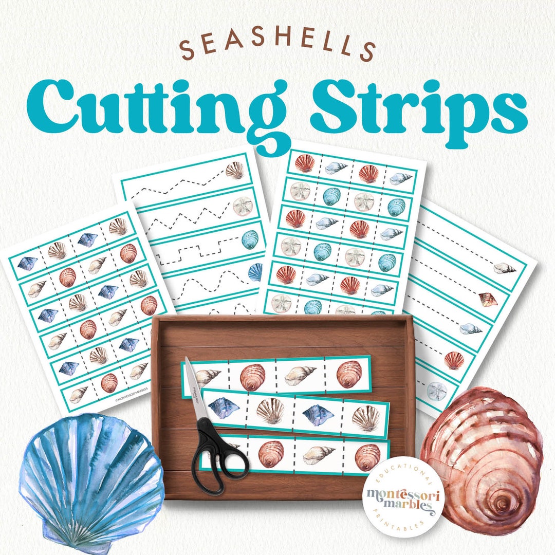 SEASHELLS Cutting Strips | Preschool Fine Motor Skills Activity ...