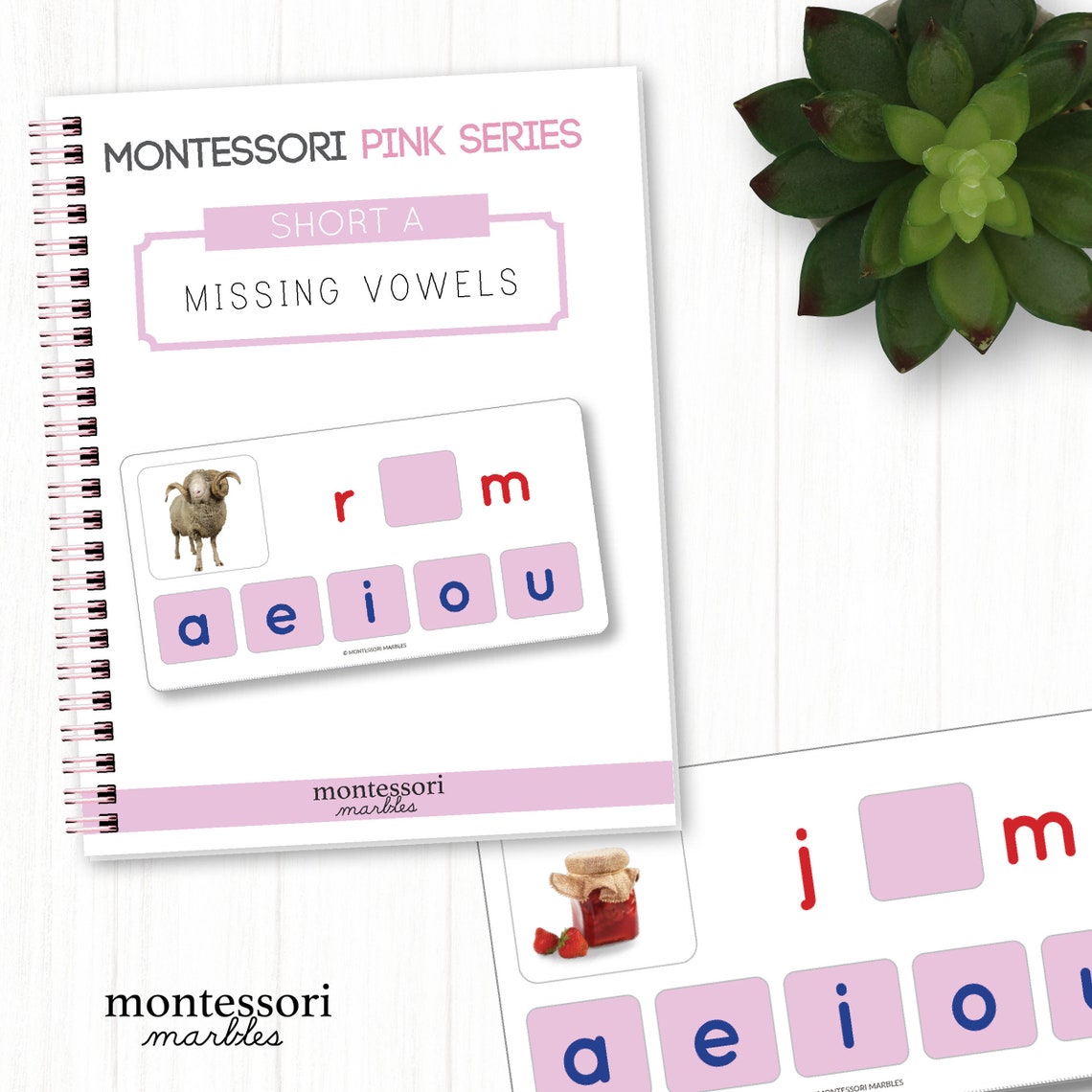 Montessori Pink Series Missing Vowel Short A Printable | Etsy
