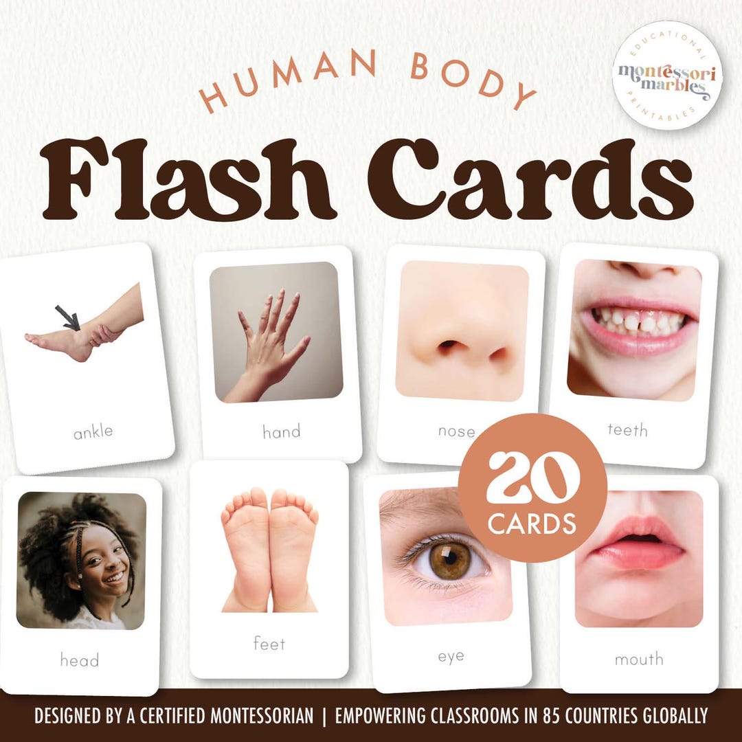 HUMAN BODY Flash Cards | 16 Flashcards | Montessori Inspired Printable ...