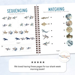 SHARKS Activity Workbook and Flash Cards | Fun Printable for Shark Week ...