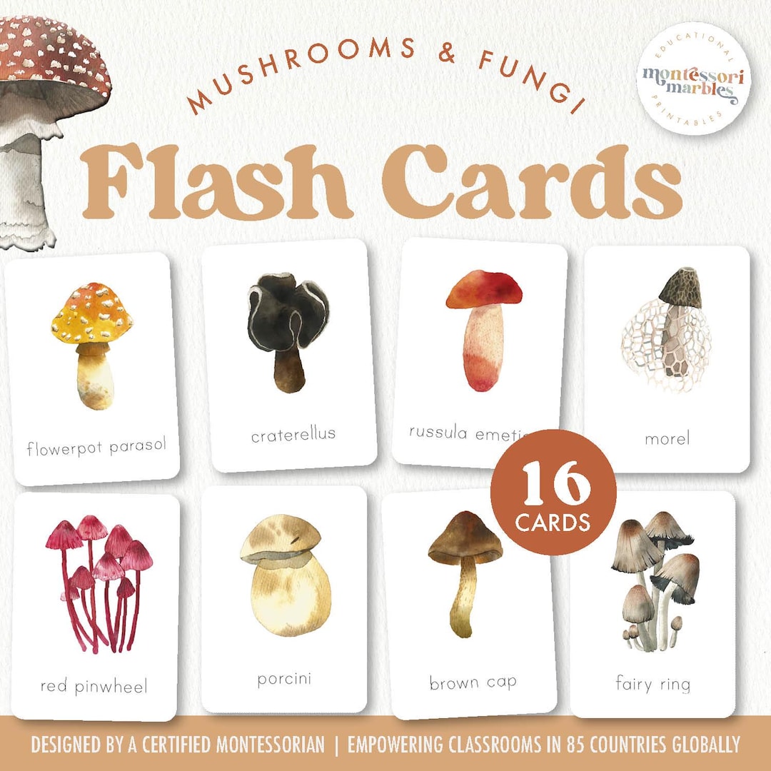 MUSHROOM Flash Cards | Montessori Inspired Fall Autumn Vocabulary ...