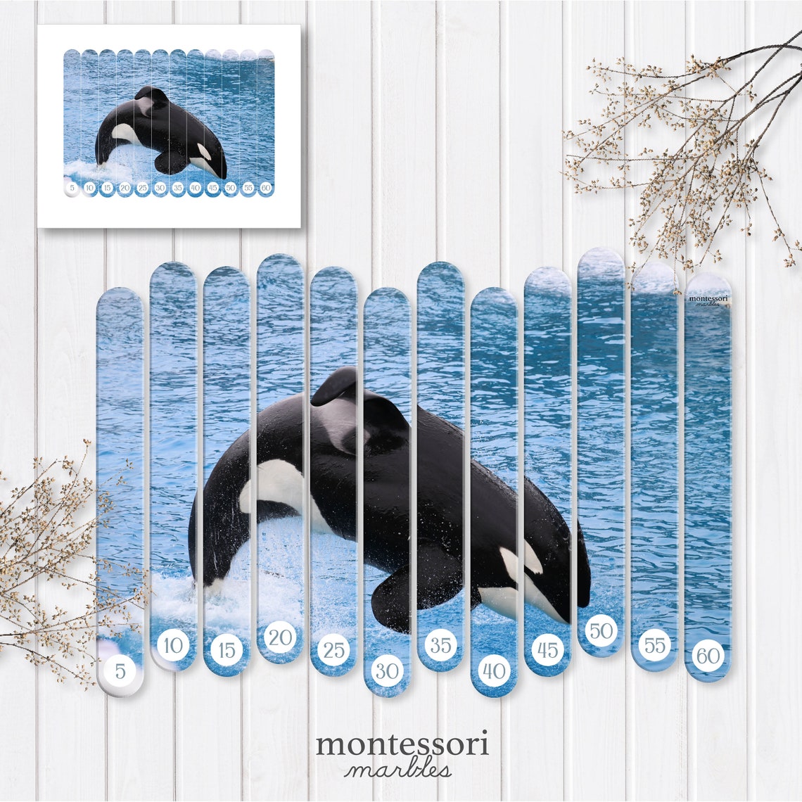 WHALES Skip Counting by 2s 3s 5s and 10s Early Math Math | Etsy