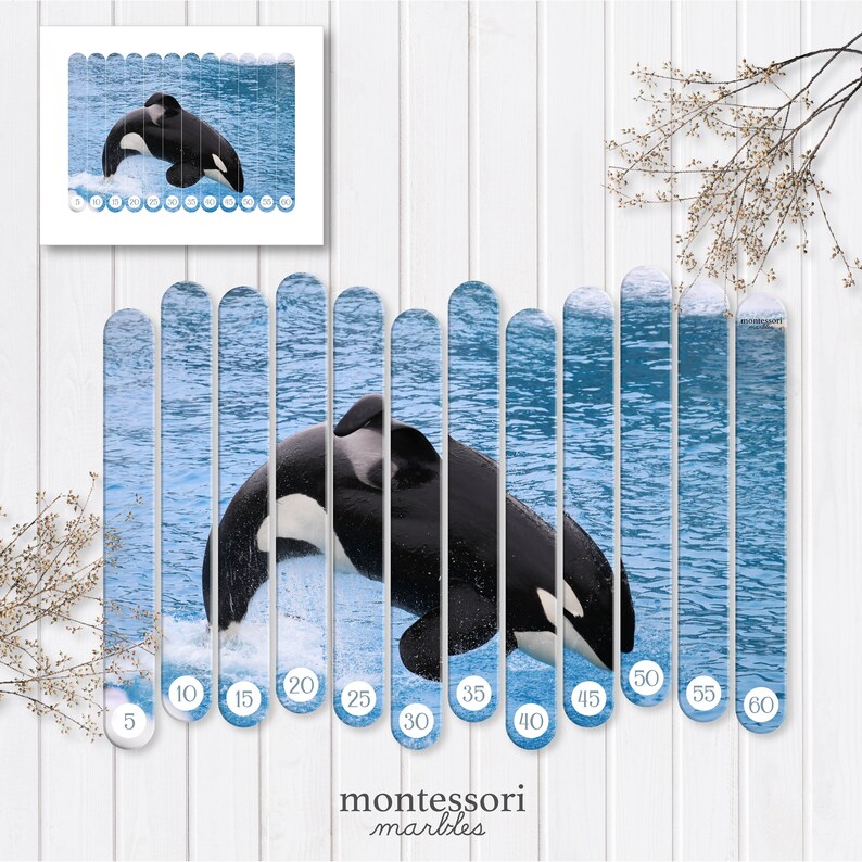 WHALES Skip Counting by 2s 3s 5s and 10s Early Math Math | Etsy
