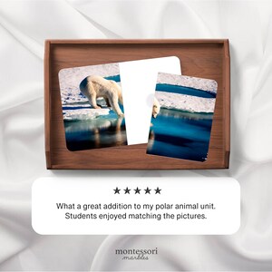 POLAR ANIMALS, Montessori Picture Matching Activity, Toddlers Matching ...