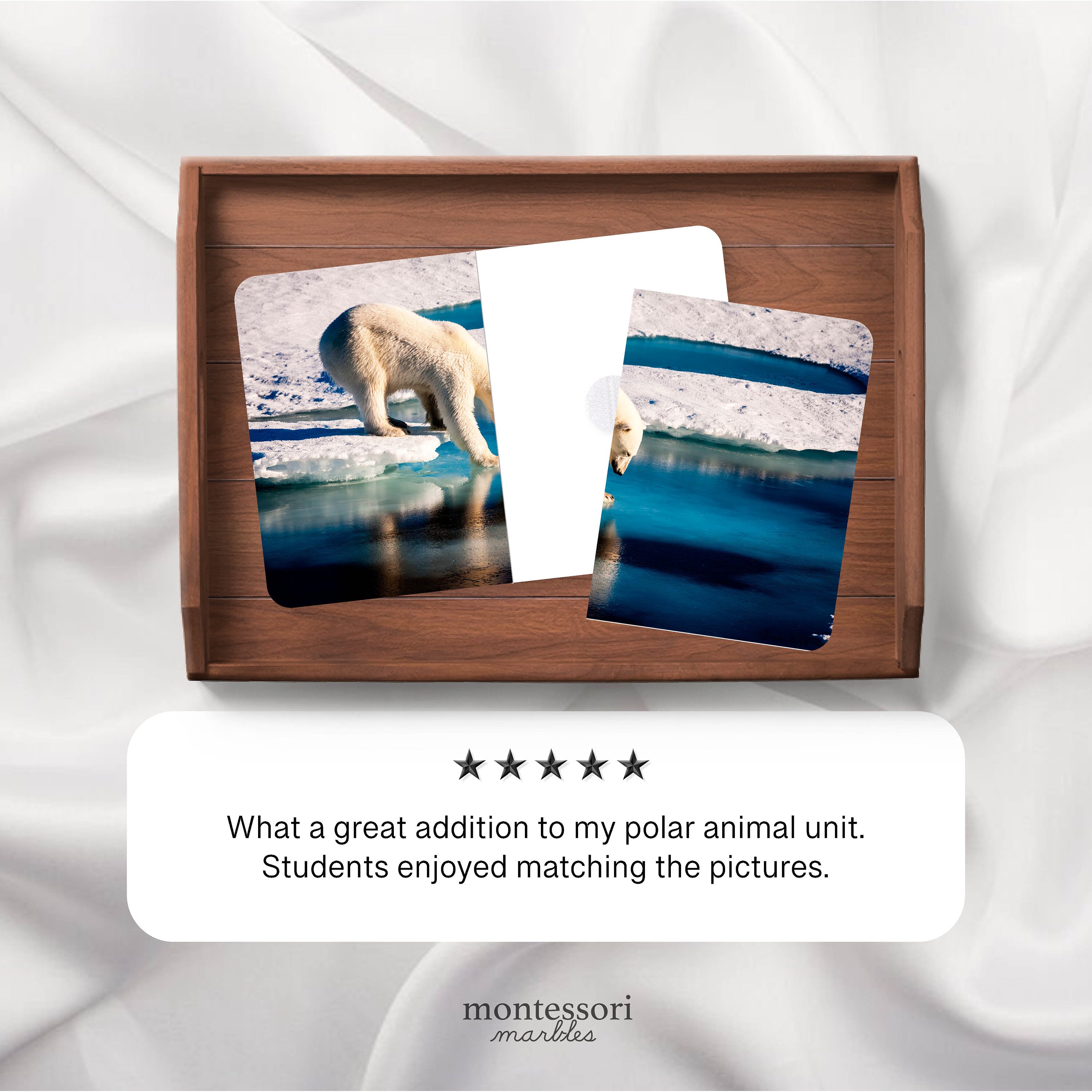 POLAR ANIMALS Montessori Picture Matching Activity Toddlers - Etsy