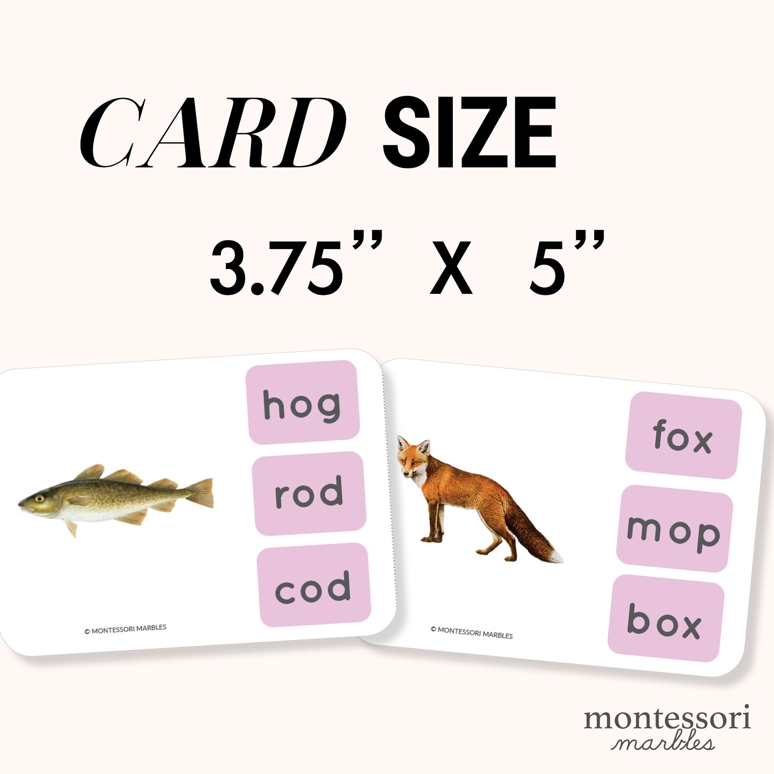 Montessori Pink Series Name the Objects SHORT O Flash Card - Etsy