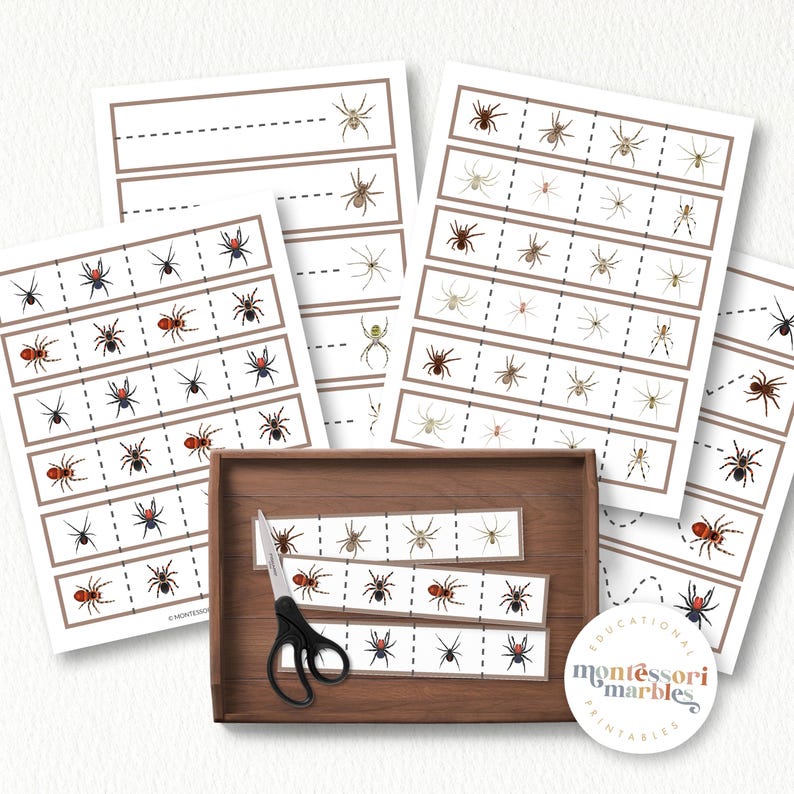 Spiders Cutting Strips | Scissor Practice Fine Motor Skills | Ages 2-5 ...