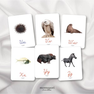 Cursive Alphabet Flash Cards: Montessori Beginning Sounds (digital ...