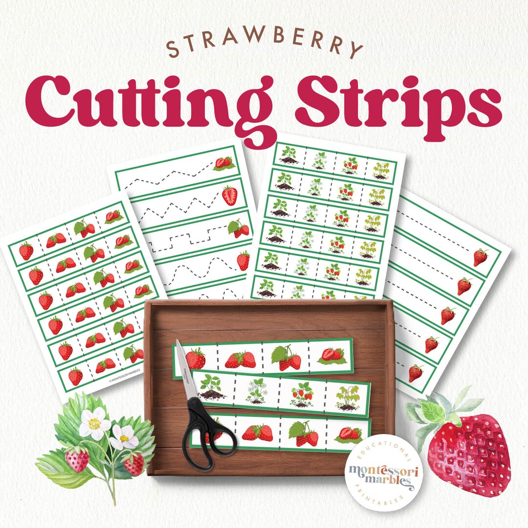 STRAWBERRY Cutting Strips | Preschool Fine Motor Skills | Life Cycle of ...