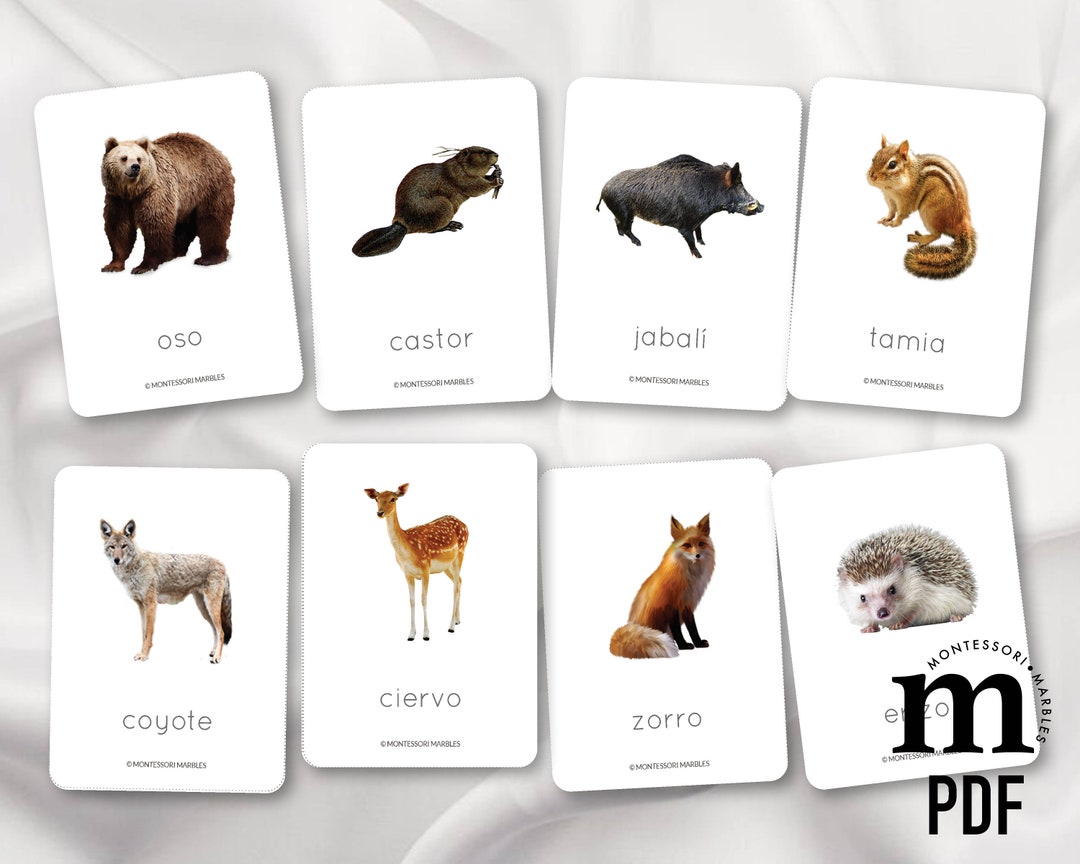 ANIMALES DEL BASQUE Woodland Animals Spanish Montessori - Etsy