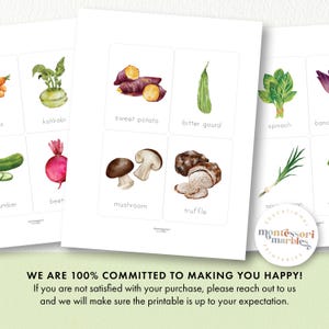 Vegetable Flash Cards PDF | 44 Cards Watercolor Ages 2-6 | UK US ...