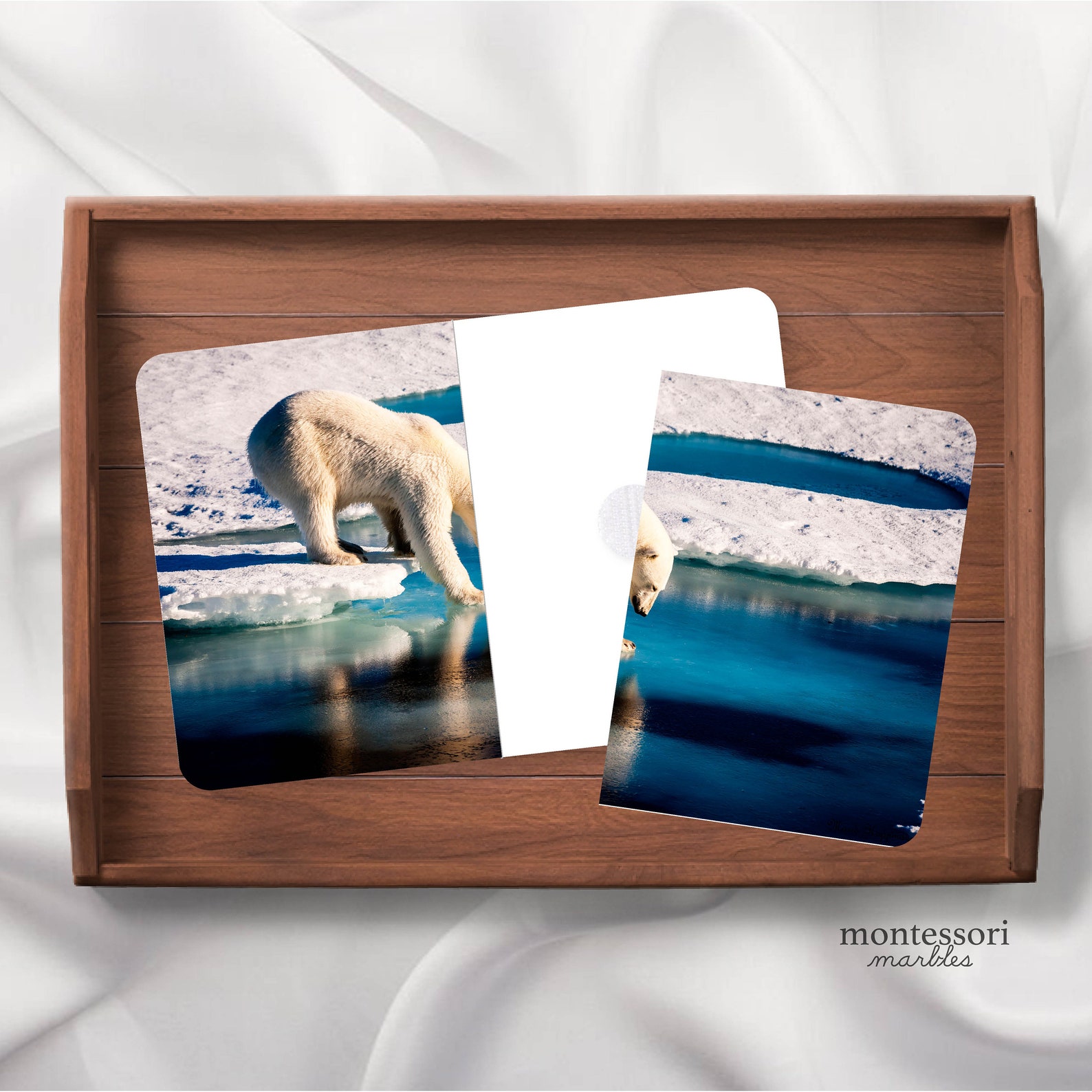POLAR ANIMALS Montessori Picture Matching Activity Toddlers - Etsy