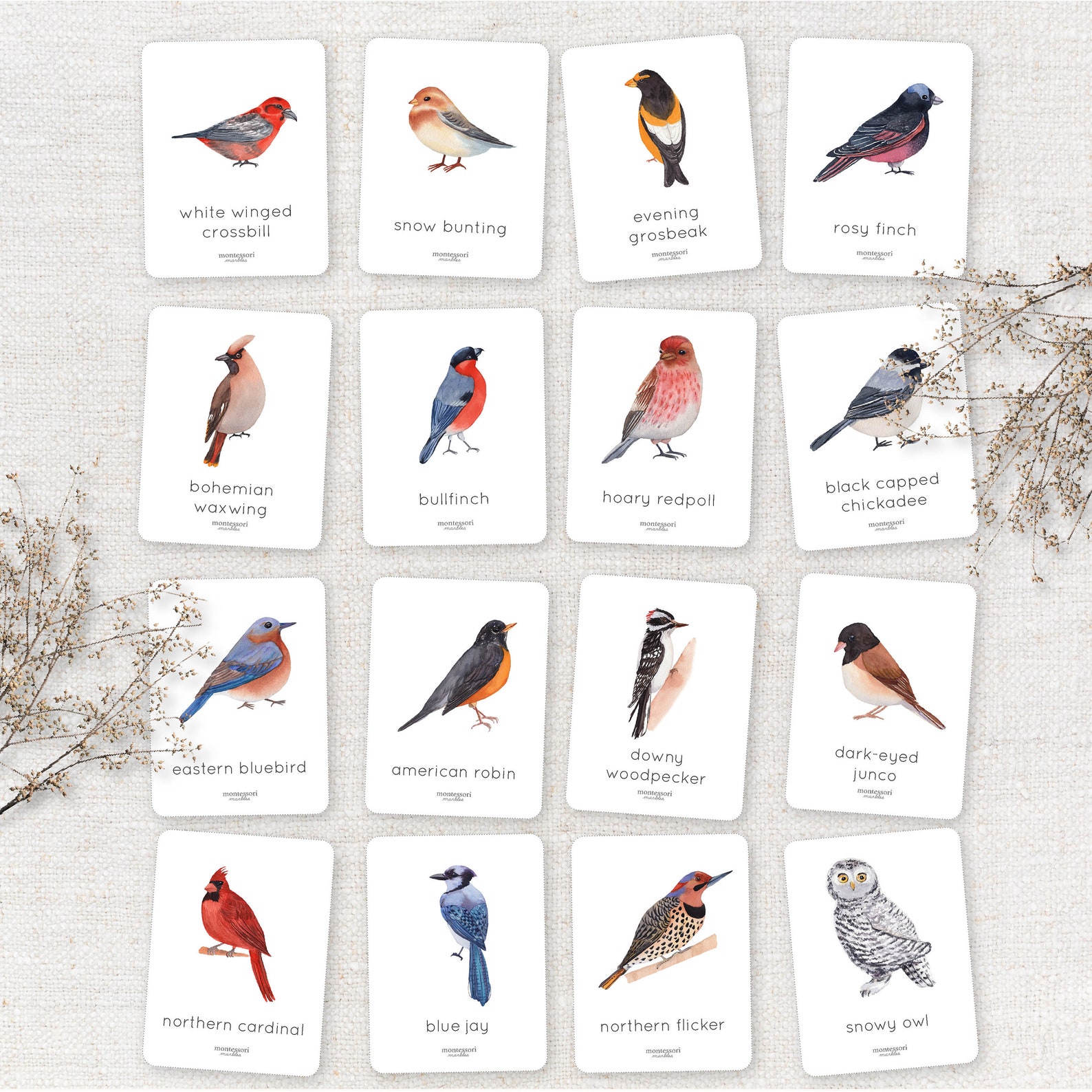 WINTER BIRDS Flash Cards 16 Flashcards Montessori Inspired - Etsy