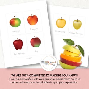 APPLES Flash Cards | 10 Flashcards | Montessori Inspired Homeschool ...