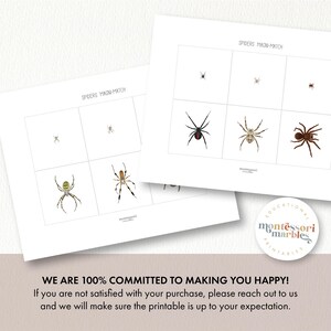 SPIDERS Magnifying Matching Game Montessori at Home Using Magnifying ...