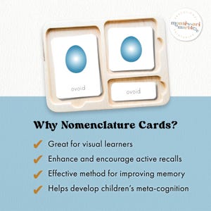 3D Shapes Montessori Nomenclature Cards: Geometric Solids (digital ...