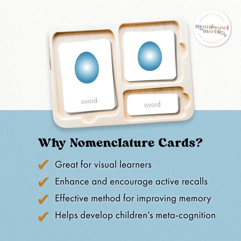 Geometry 3D Shapes Nomenclature Cards | Montessori Mathematics | 10 3 ...