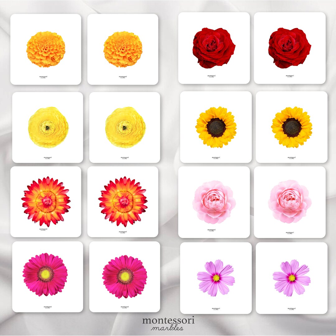 SPRING FLOWERS Matching and Memory Games Fun Activity for Preschool ...