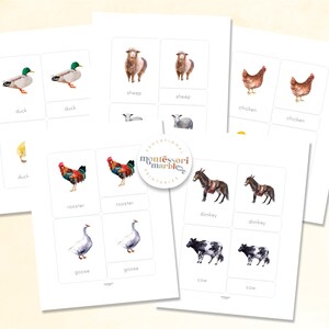FARM ANIMALS Montessori Nomenclature Cards, Montessori Homeschool Prek ...