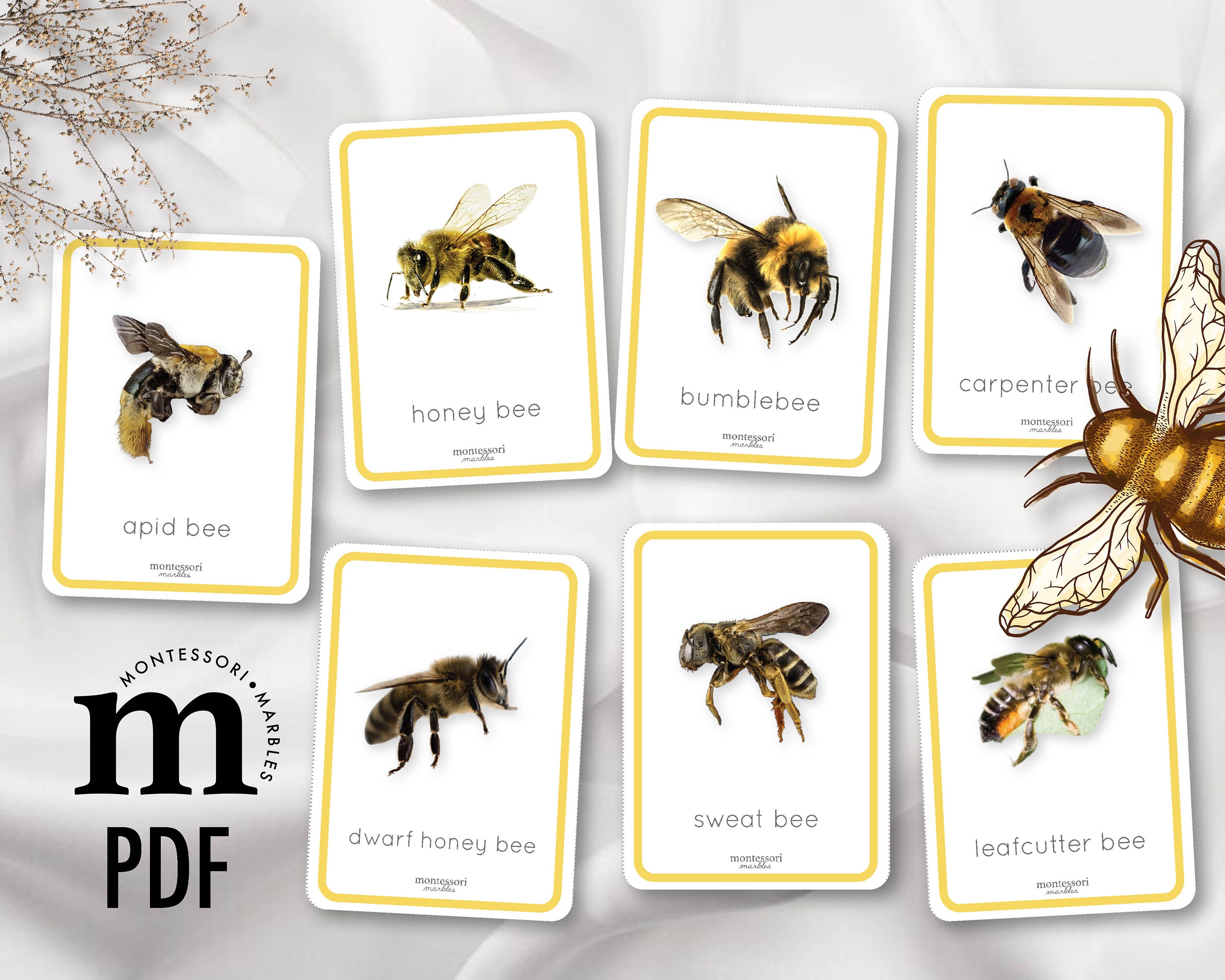 BEES Flash Cards Montessori Inspired Printable Vocabulary - Etsy UK