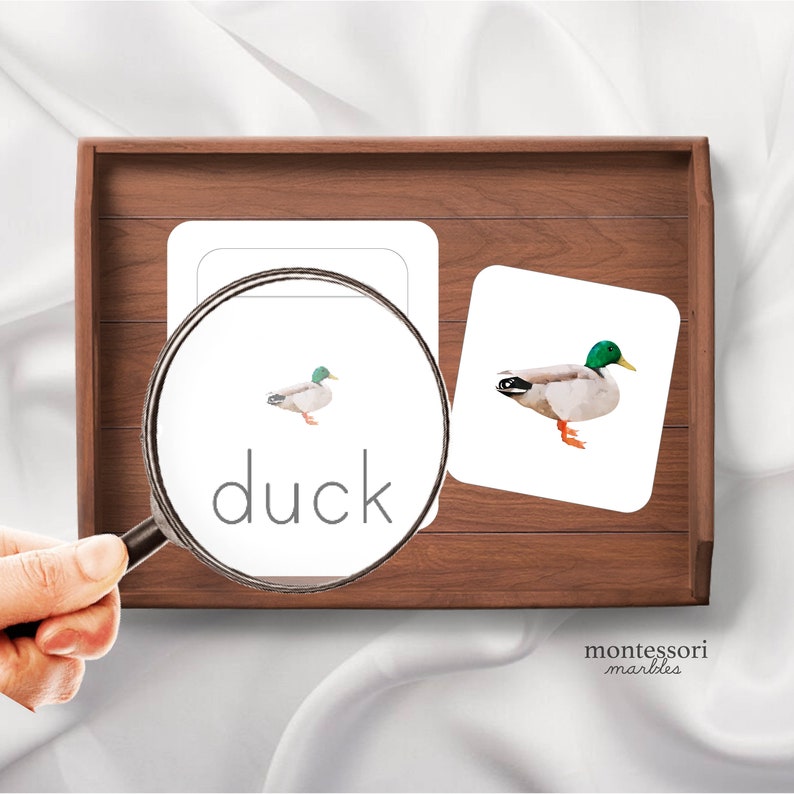 FARM ANIMALS Magnifying Matching Game Montessori at Home Using ...