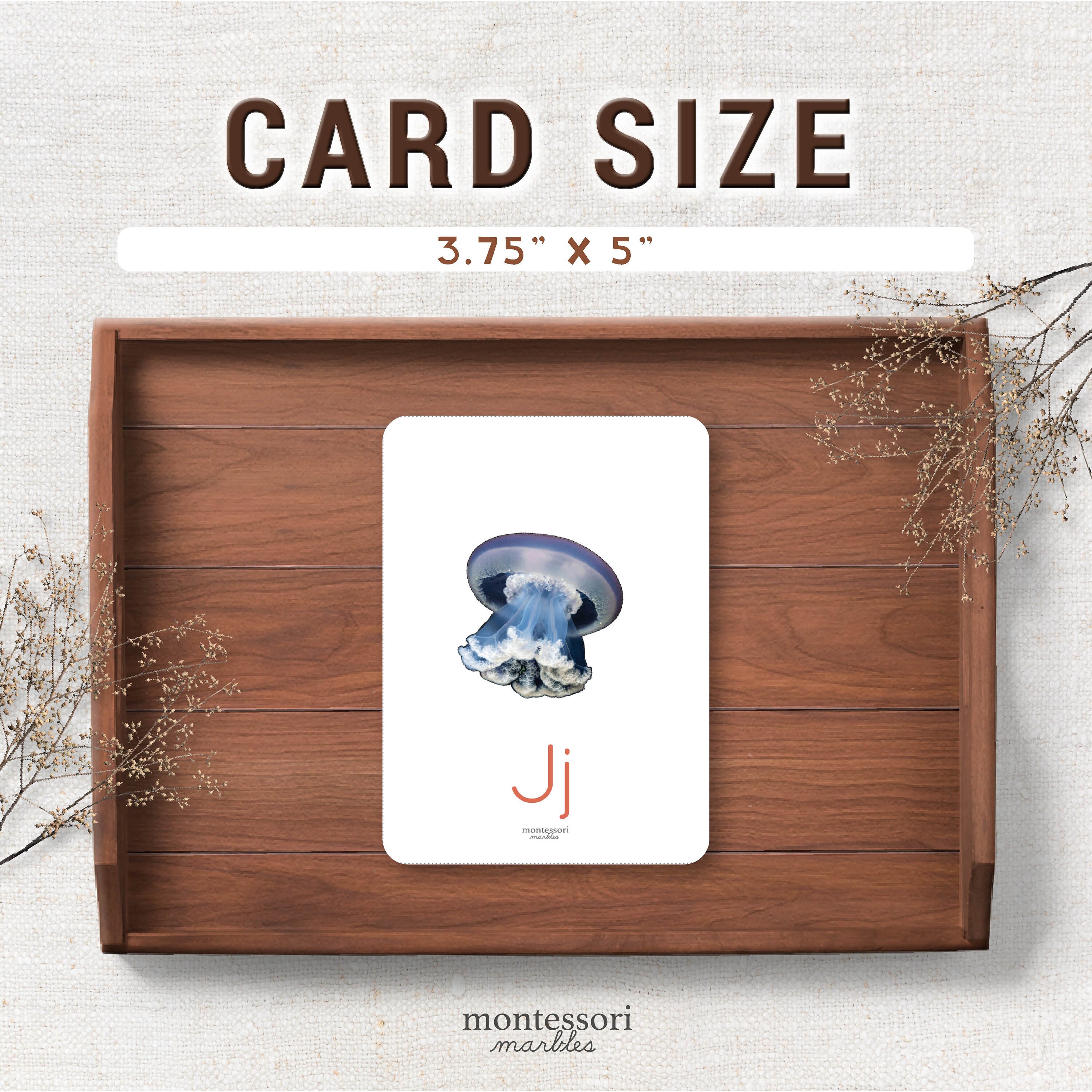 BEGINNING SOUNDS Flash Card Montessori Phonics Vocabulary - Etsy