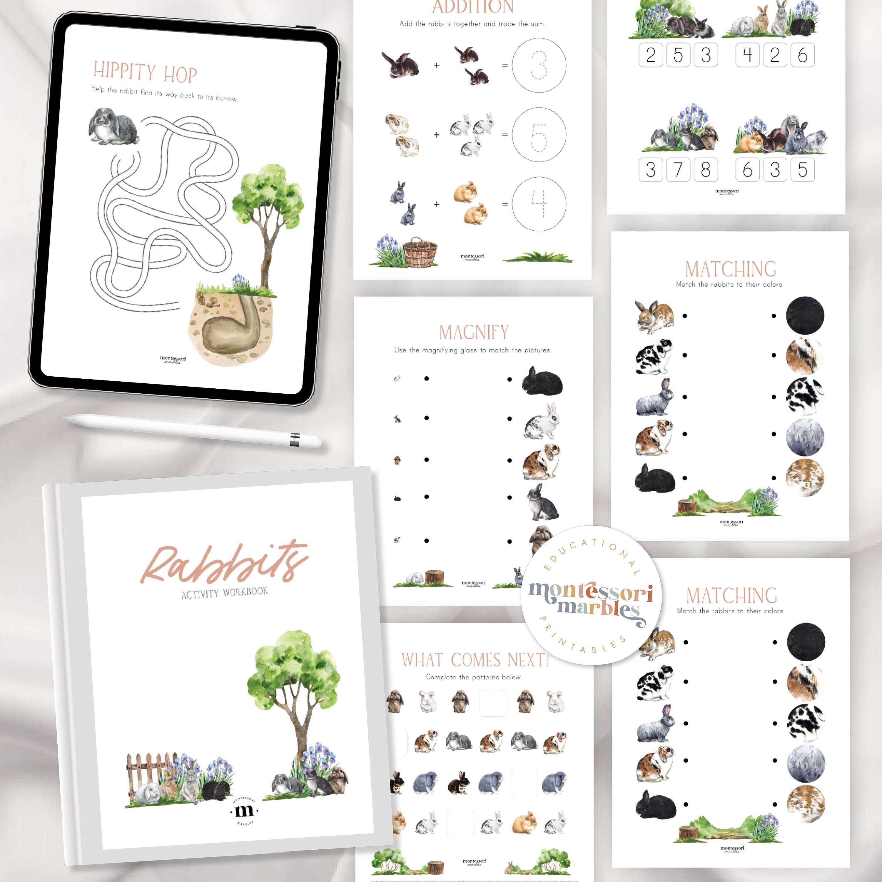 RABBIT Activity Workbook and Flash Cards Parts of a Rabbit Toddler ...