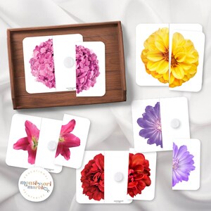 FLOWERS Symmetry Matching Puzzle Montessori Inspired Visual Skill ...