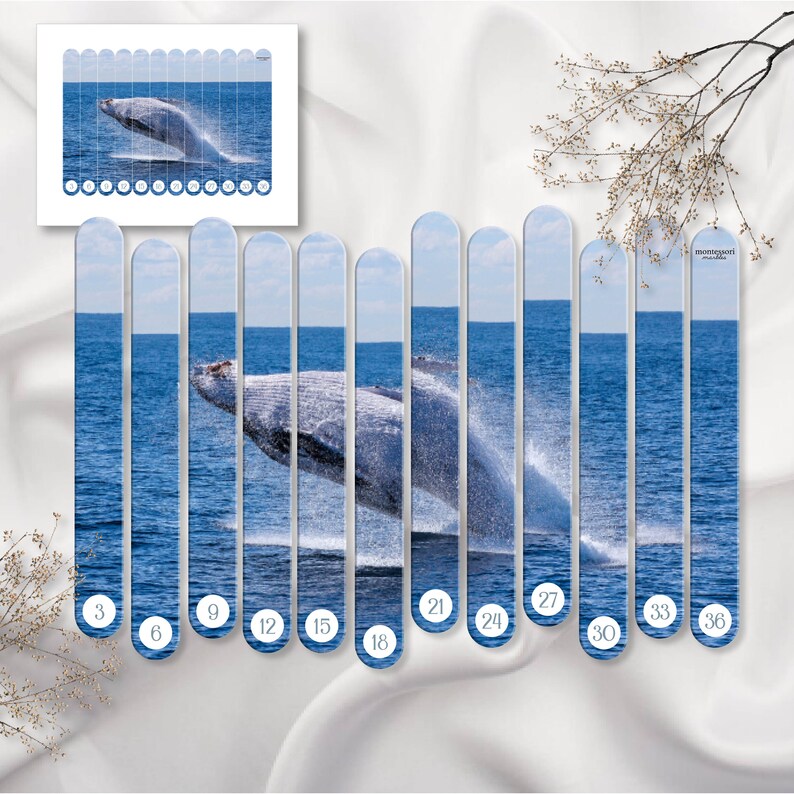 WHALES Skip Counting by 2s, 3s, 5s and 10s, Early Math, Math Puzzles ...