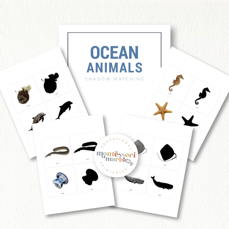 Ocean Animals Shadow Matching Game | Montessori Science | Visual Skills ...
