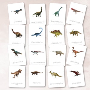 DINOSAUR Montessori Nomenclature Cards, Prehistoric Creatures Cards ...