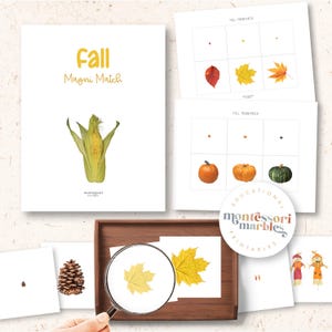 FALL Magnifying Matching Game | Montessori at Home Using Magnifying ...