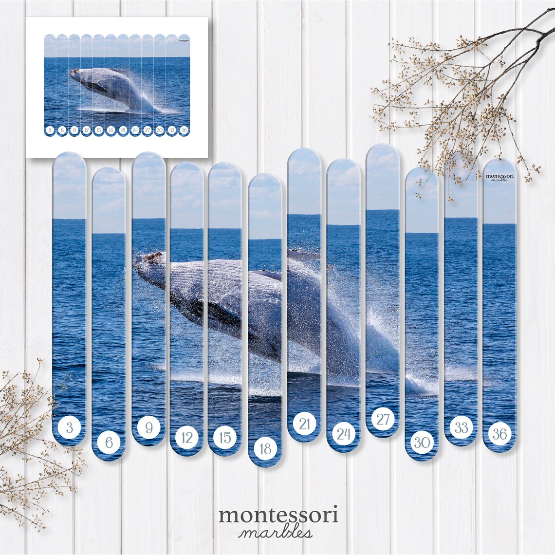 WHALES Skip Counting by 2s 3s 5s and 10s Early Math Math - Etsy