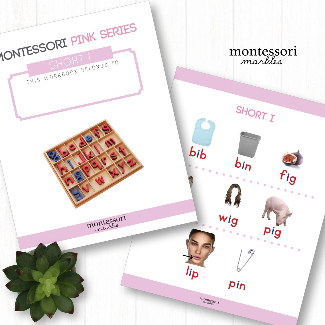 BUNDLE Montessori Pink Series Workbooks Short A E I O U CVC | Etsy