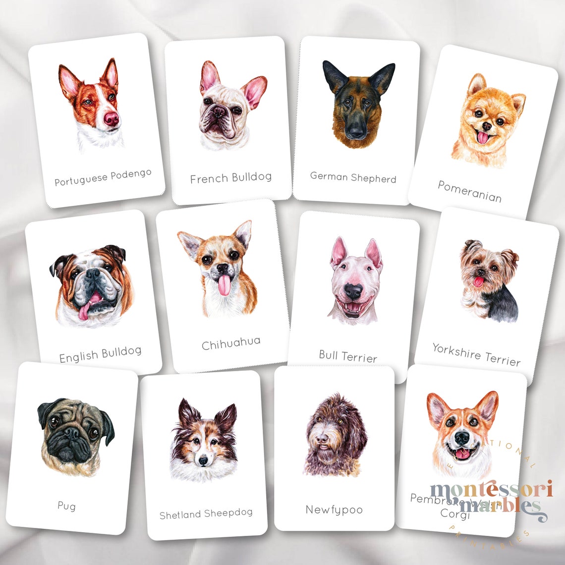 Dog Breeds Flash Cards | Montessori Homeschool Vocabulary | Real Photo ...