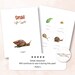 SNAIL LIFE CYCLE With Nomenclature Cards Preschool & Kindergarten ...
