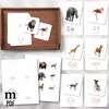 BEGINNING SOUNDS Flash Card Montessori, Phonics, Vocabulary Builder ...