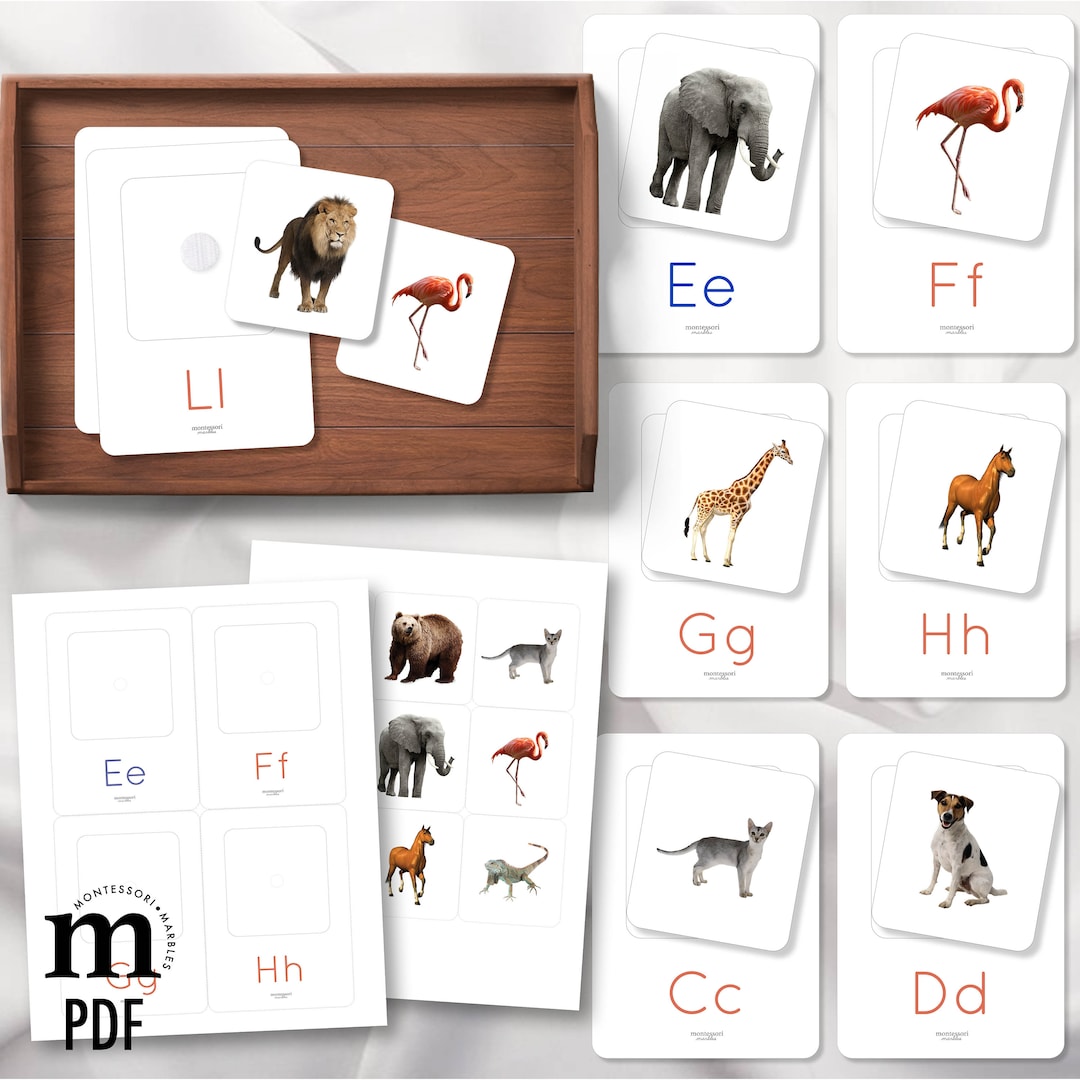 BEGINNING SOUNDS Matching Cards, Montessori Activity Cards, Learning ...