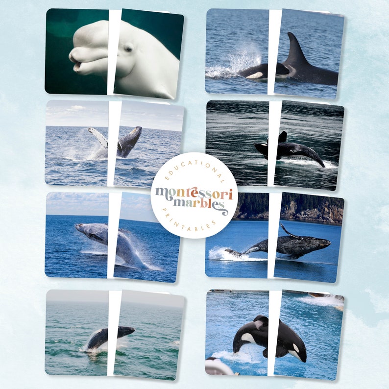 Whales Complete Pictures PDF | 8 Two-piece Puzzles Ages 2-6 | Ocean ...