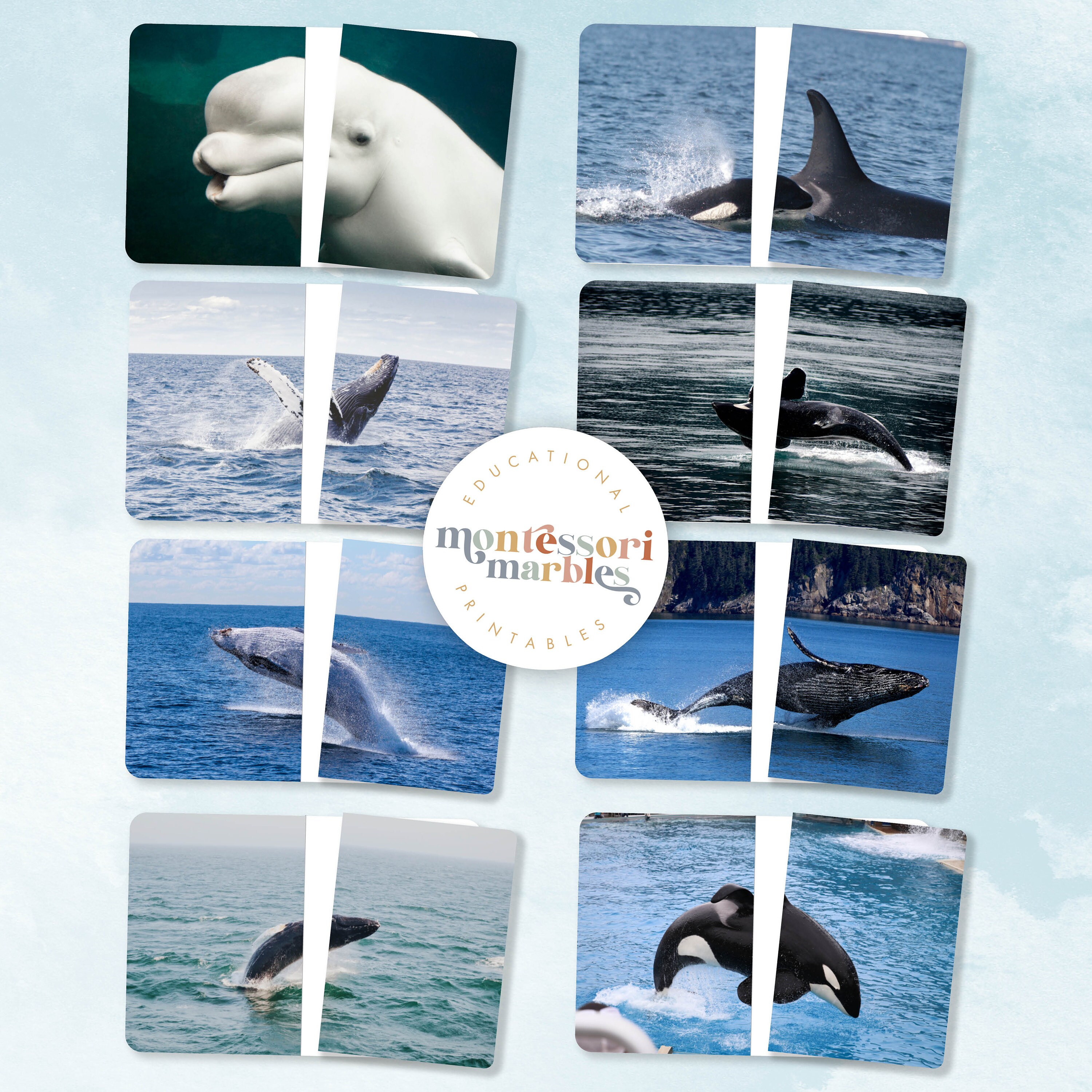 Whales Complete Pictures PDF | 8 Two-piece Puzzles Ages 2-6 | Ocean ...