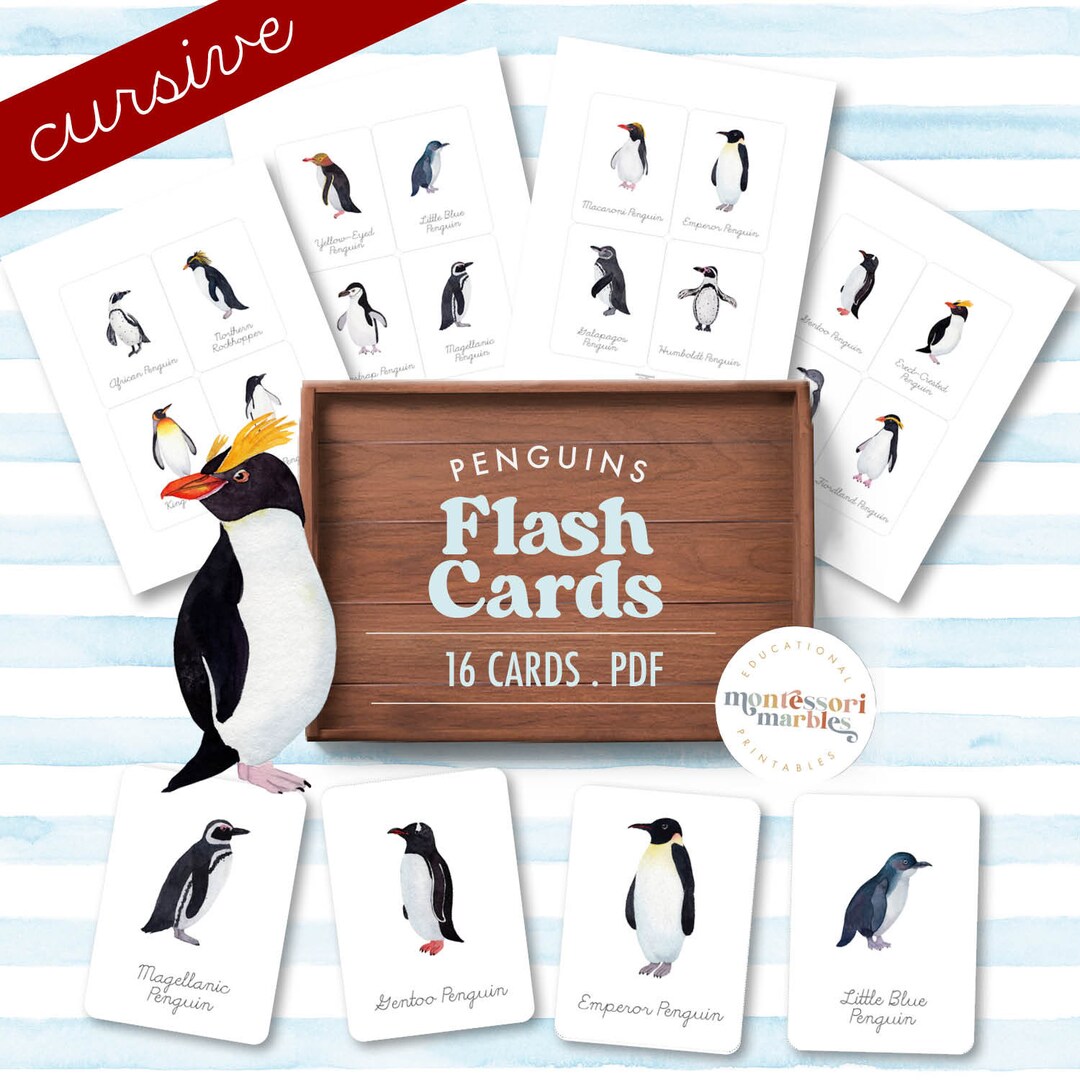 Penguins Flash Cards Cursive | Montessori Science | 16 Species D ...