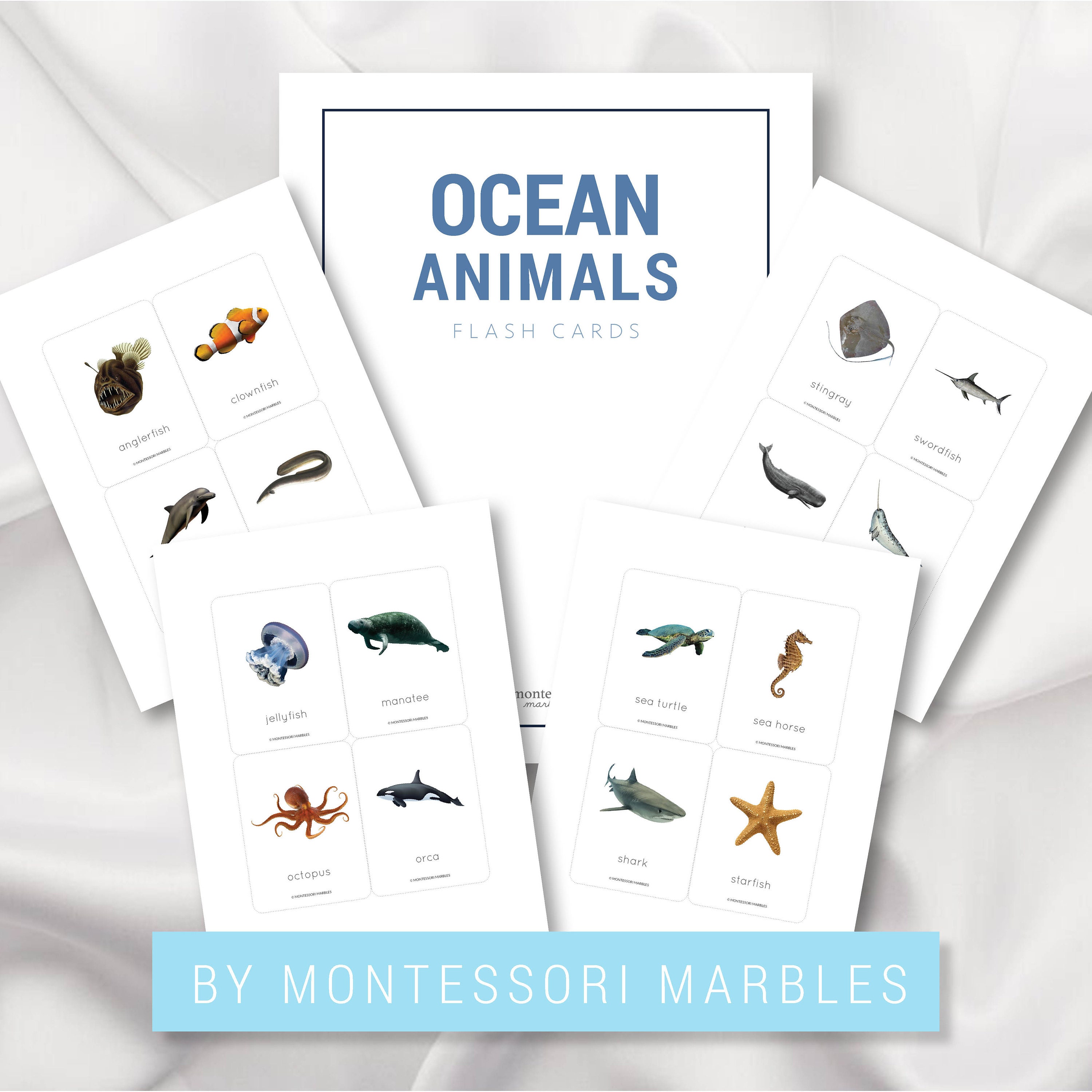 OCEAN ANIMALS Flash Cards Montessori Inspired Resources With Real ...