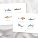 SHARKS Flash Cards Types of Sharks Watercolor Sharks Flash - Etsy