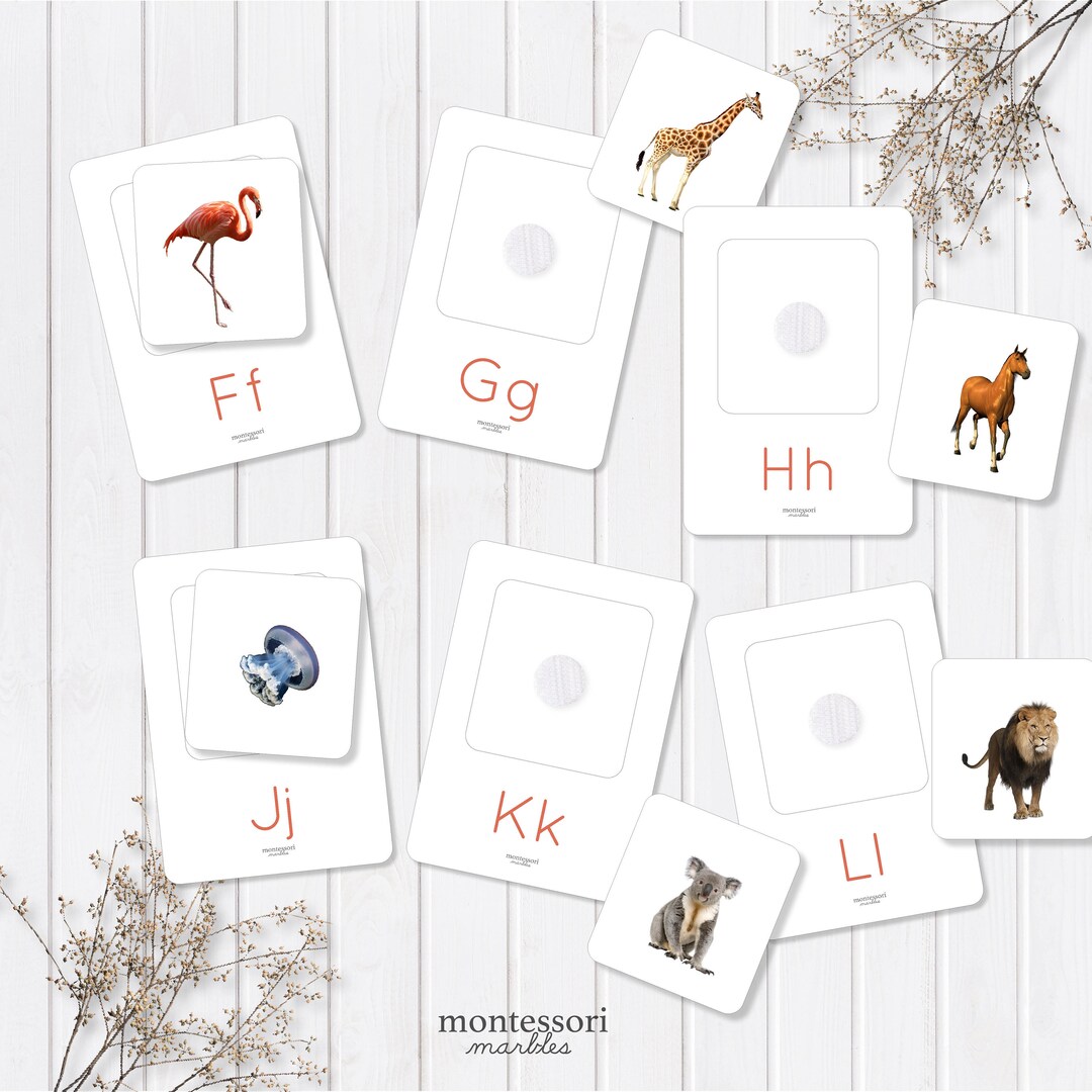 BEGINNING SOUNDS Matching Cards Montessori Activity Cards - Etsy