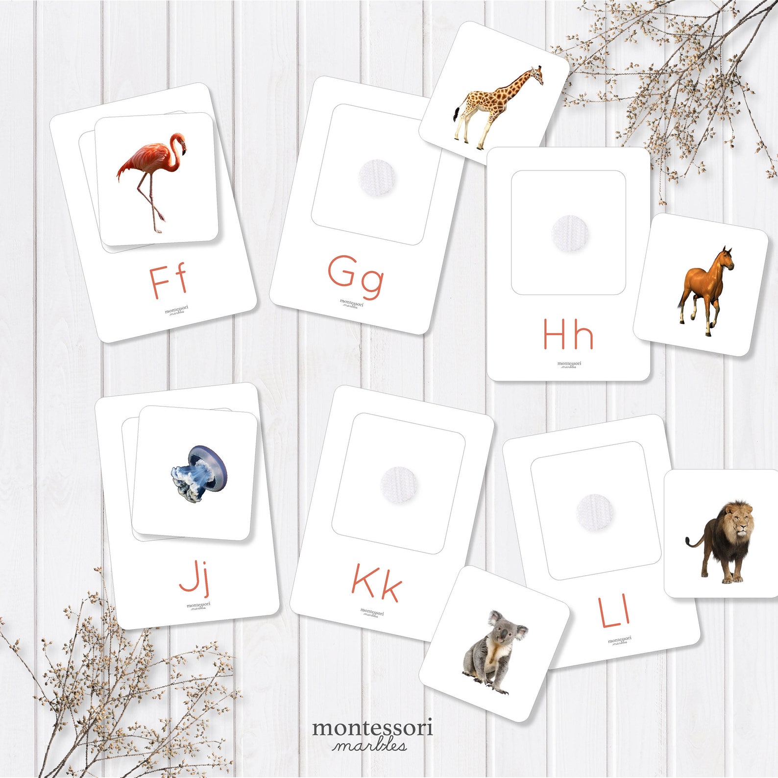 BEGINNING SOUNDS Matching Cards Montessori Activity Cards - Etsy